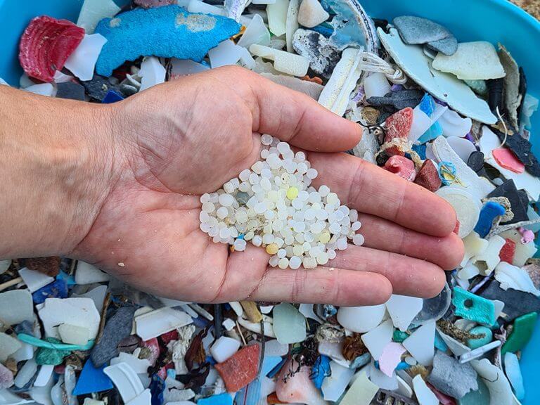 Operation Clean Sweep® - Tangaroa Blue Foundation