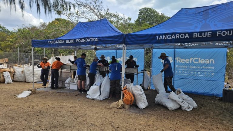 Pennefather's Marine Debris Clean-up: A Collaborative Conservation ...
